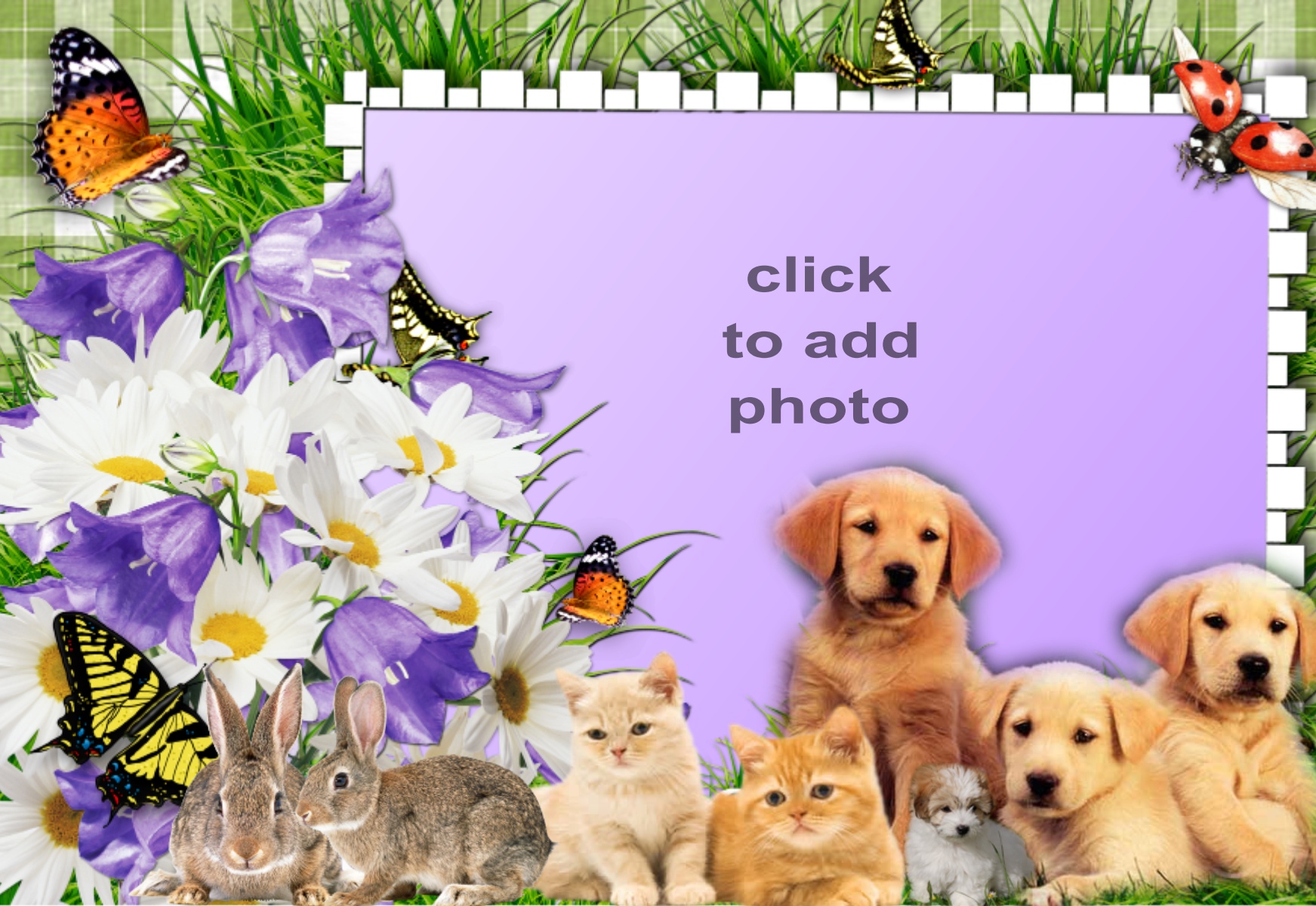 Sinnlich's Spring Frames - 2008 - 2010 - Bunnies Sinnlich Cats Spring ...