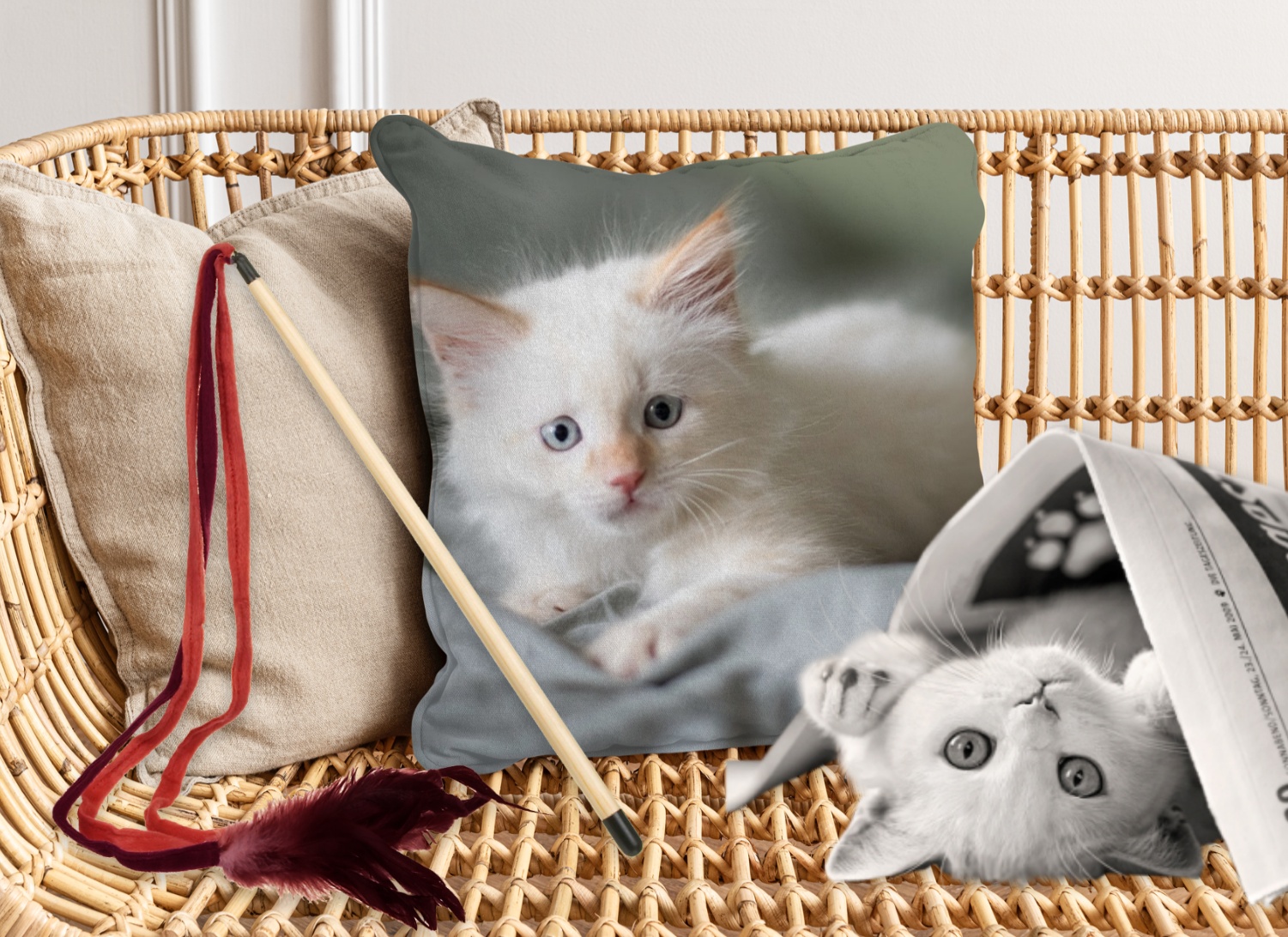 Elizabeth's CATS & DOGS 🐱 🐶 - Cats Kittens Pets - Cats Kittens Pets ...