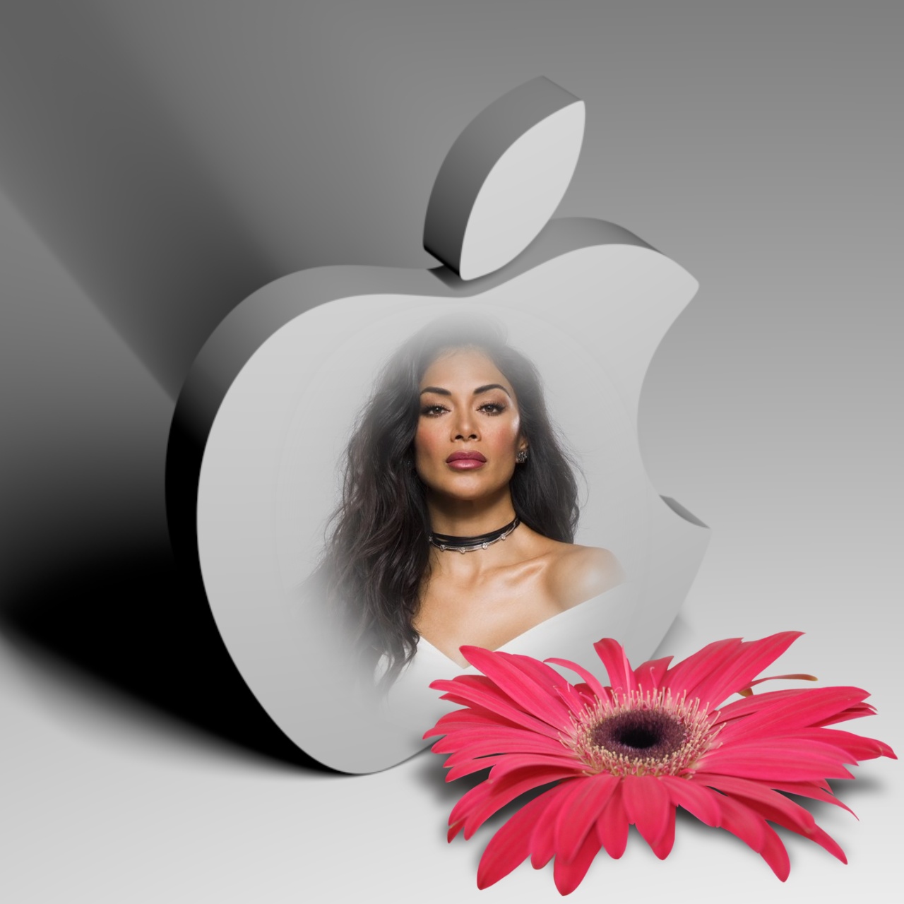 Jezebel64's Fun Frames - Fun Frame Portrait Gerbera Jezebel64 - Fun ...