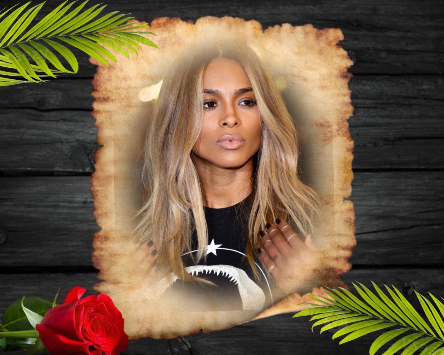 Nette's PhotoAlbum,Letters,Books,Magazine,Papers - Photo Album Picture ...