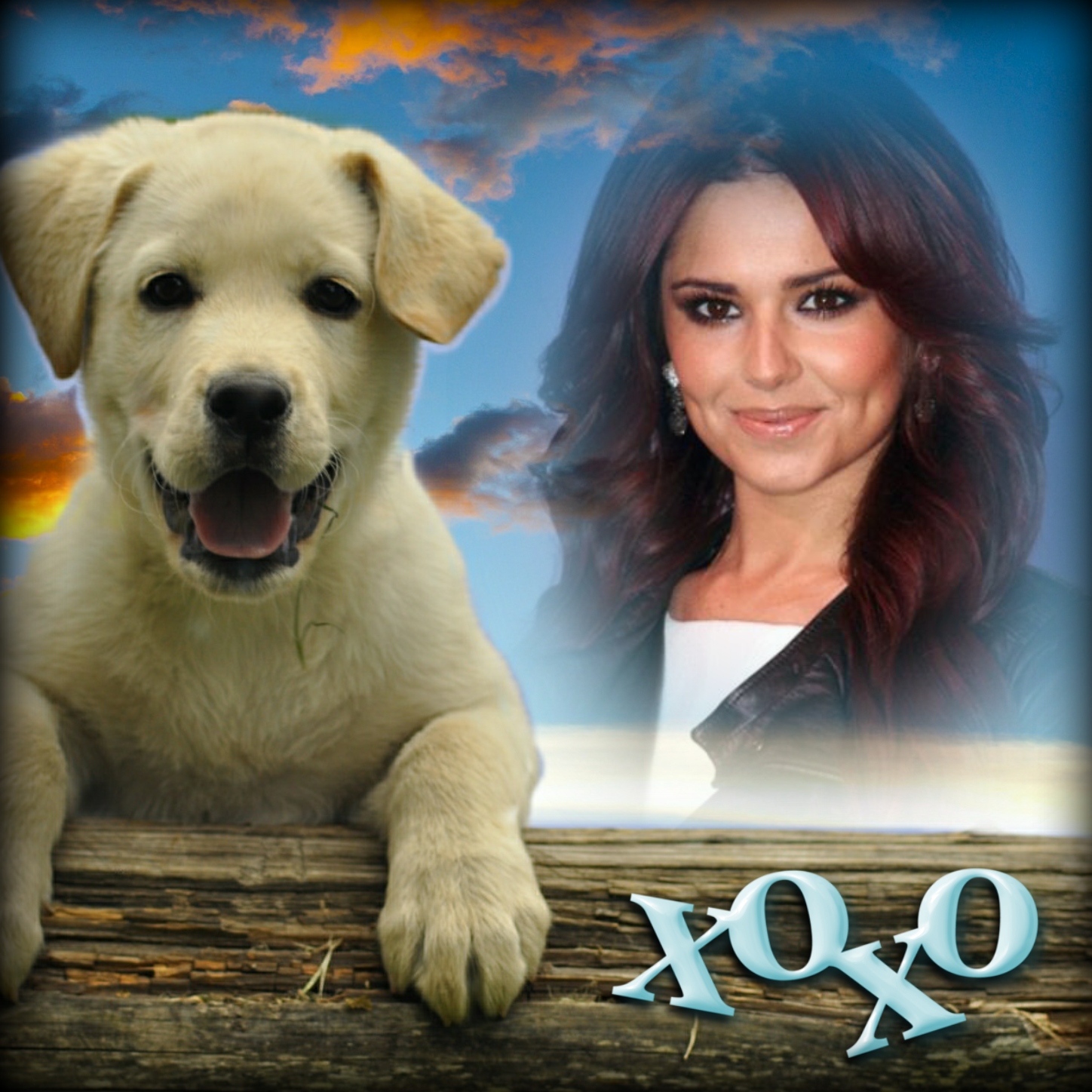 Elizabeth's CATS & DOGS 🐱 🐶 - Dogs Labrador Pets Elizabeth - Dogs ...