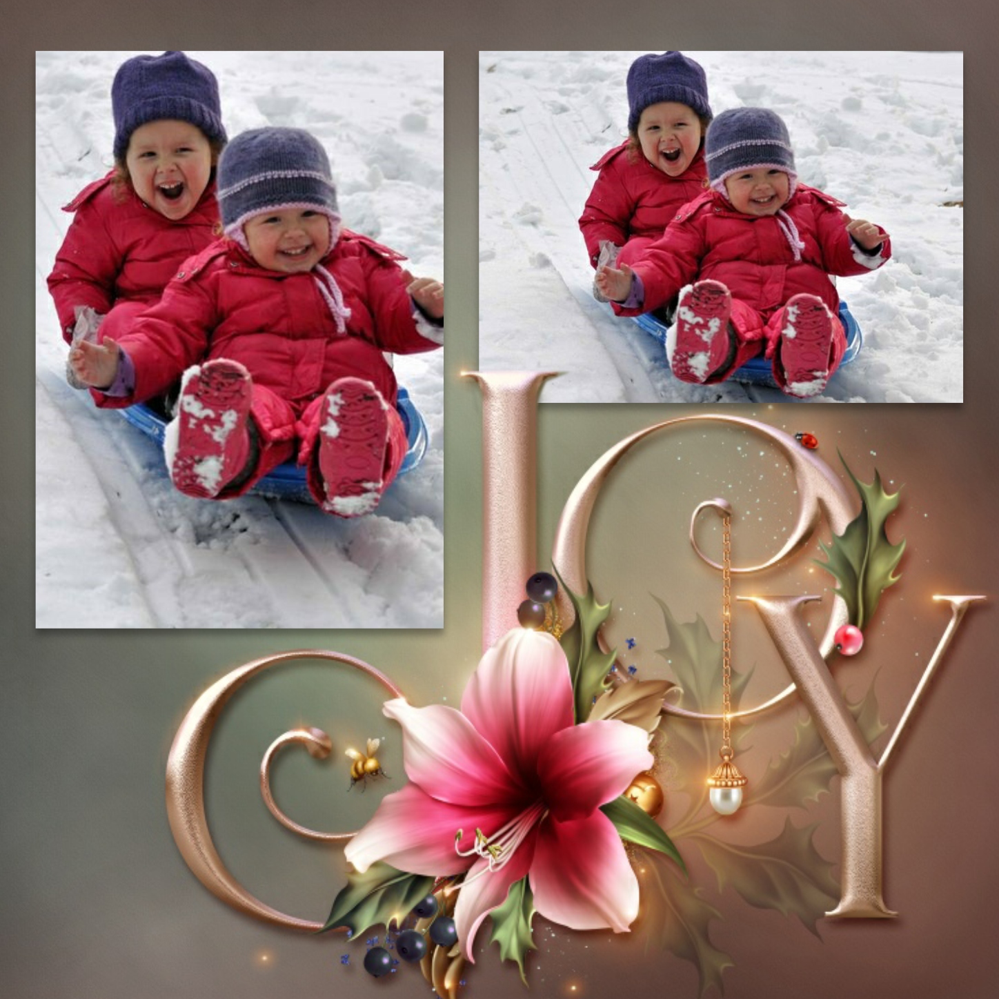 Elizabeth's WINTER ️ 2/2 - Winter Christmas Amaryllis Elizabeth ...