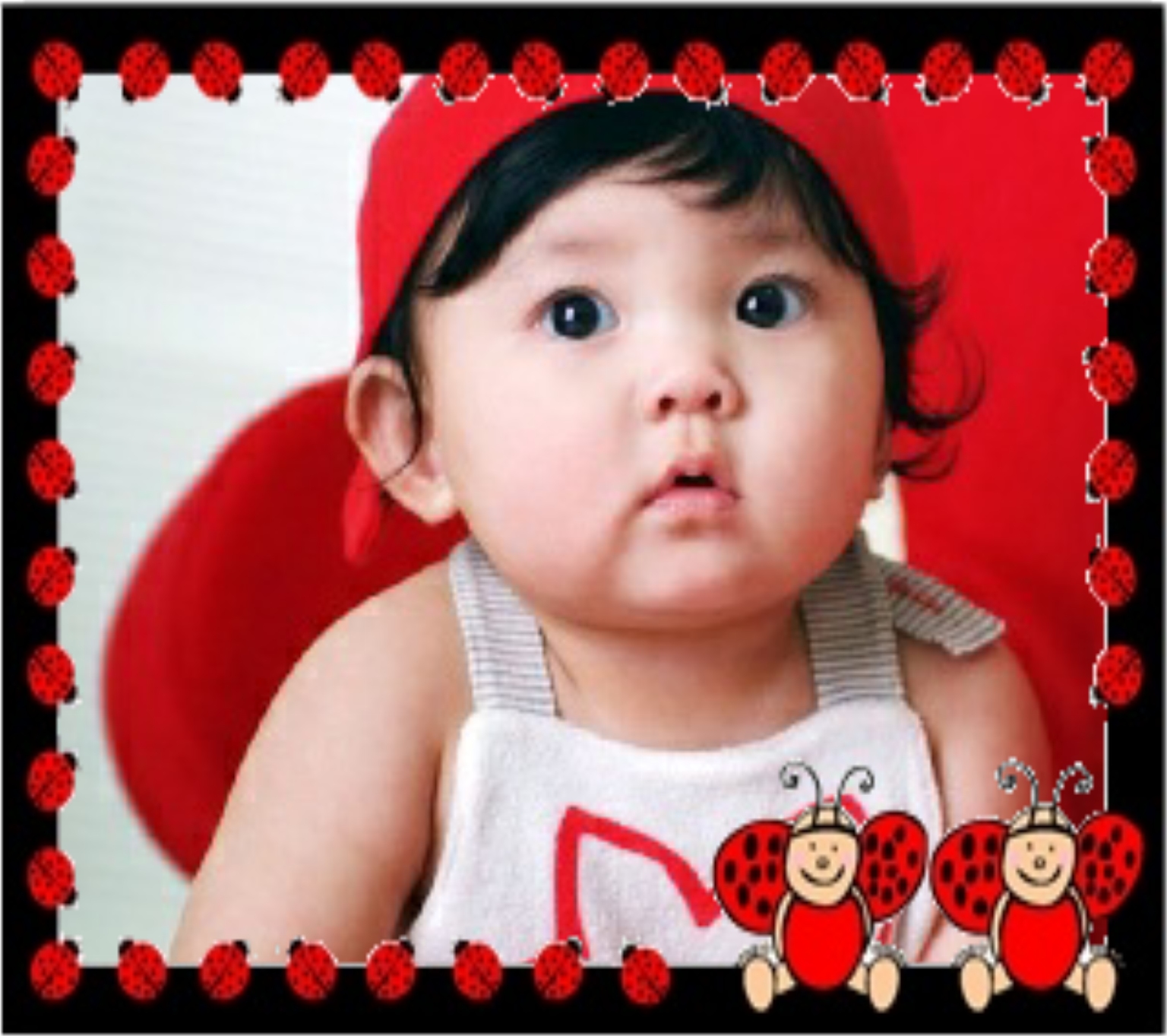 marialedesma1958's Picture Frames - 2011 July - Red & Black Ladybugs ...