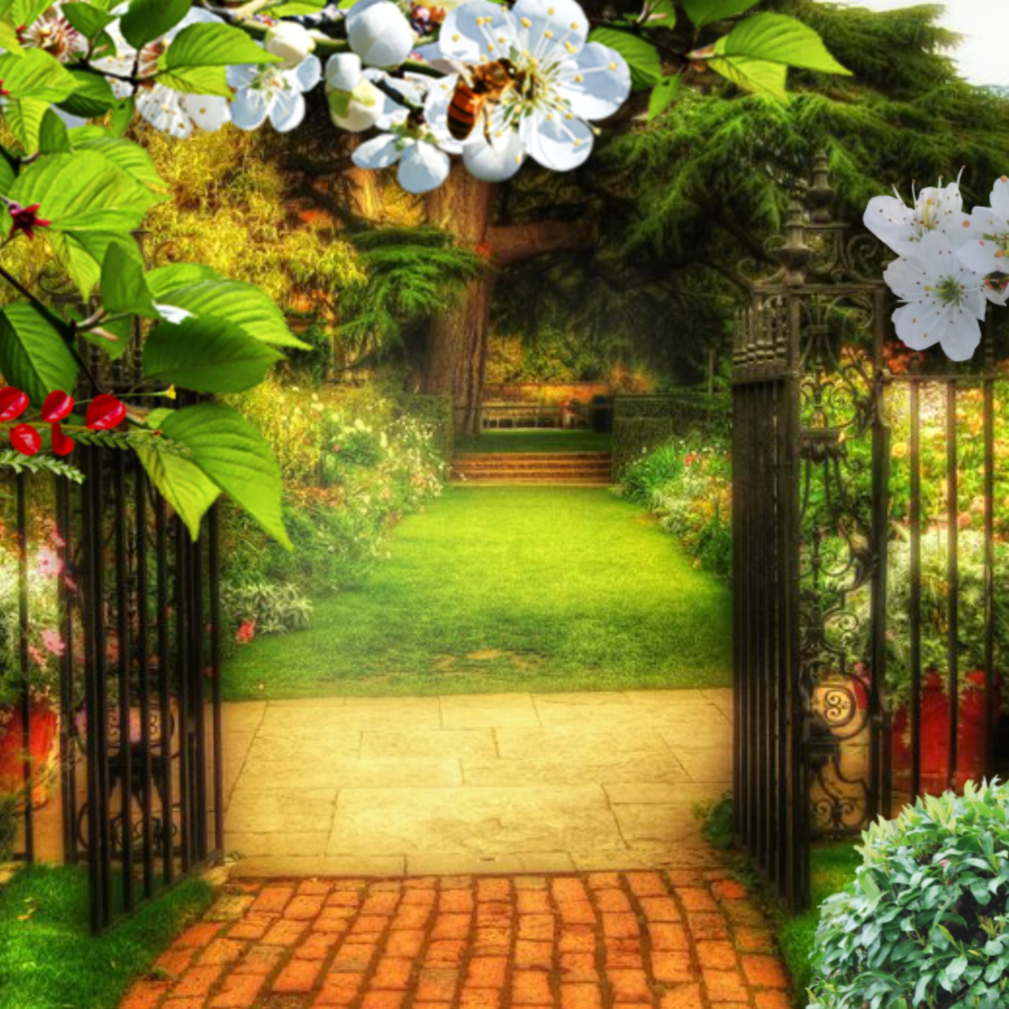 Emily50's Spring Frames - Spring Ghy01 - Spring Ghy01