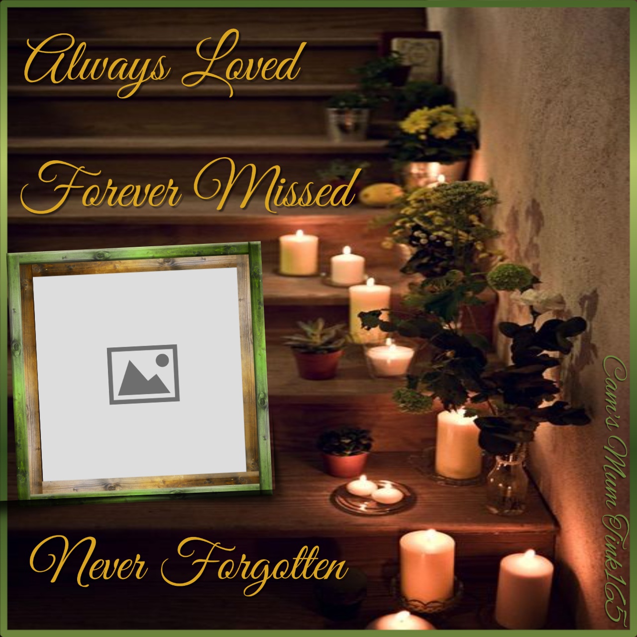 Tink165 (Cam's Mum)'s December 2021 - In MemoryMiss YouMemories Grief ...