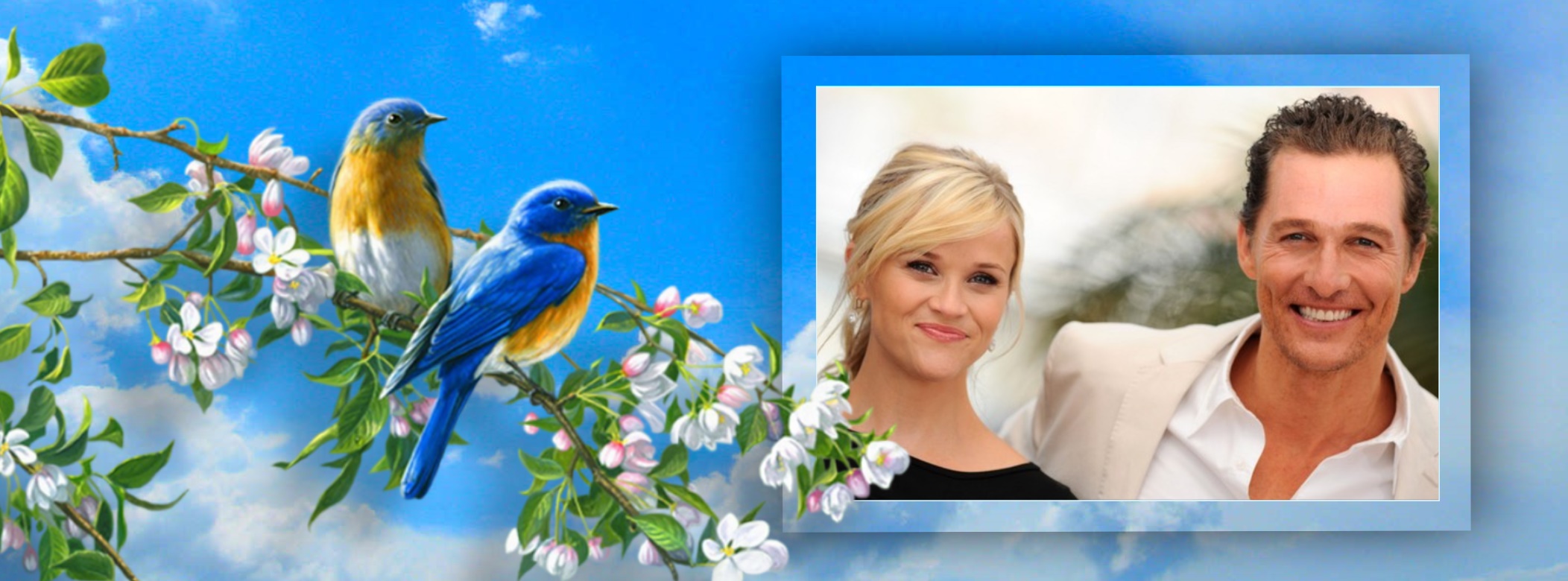 Elizabeth's FACEBOOK PROFILE COVER 🟦 - Facebook Profile Cover Social ...