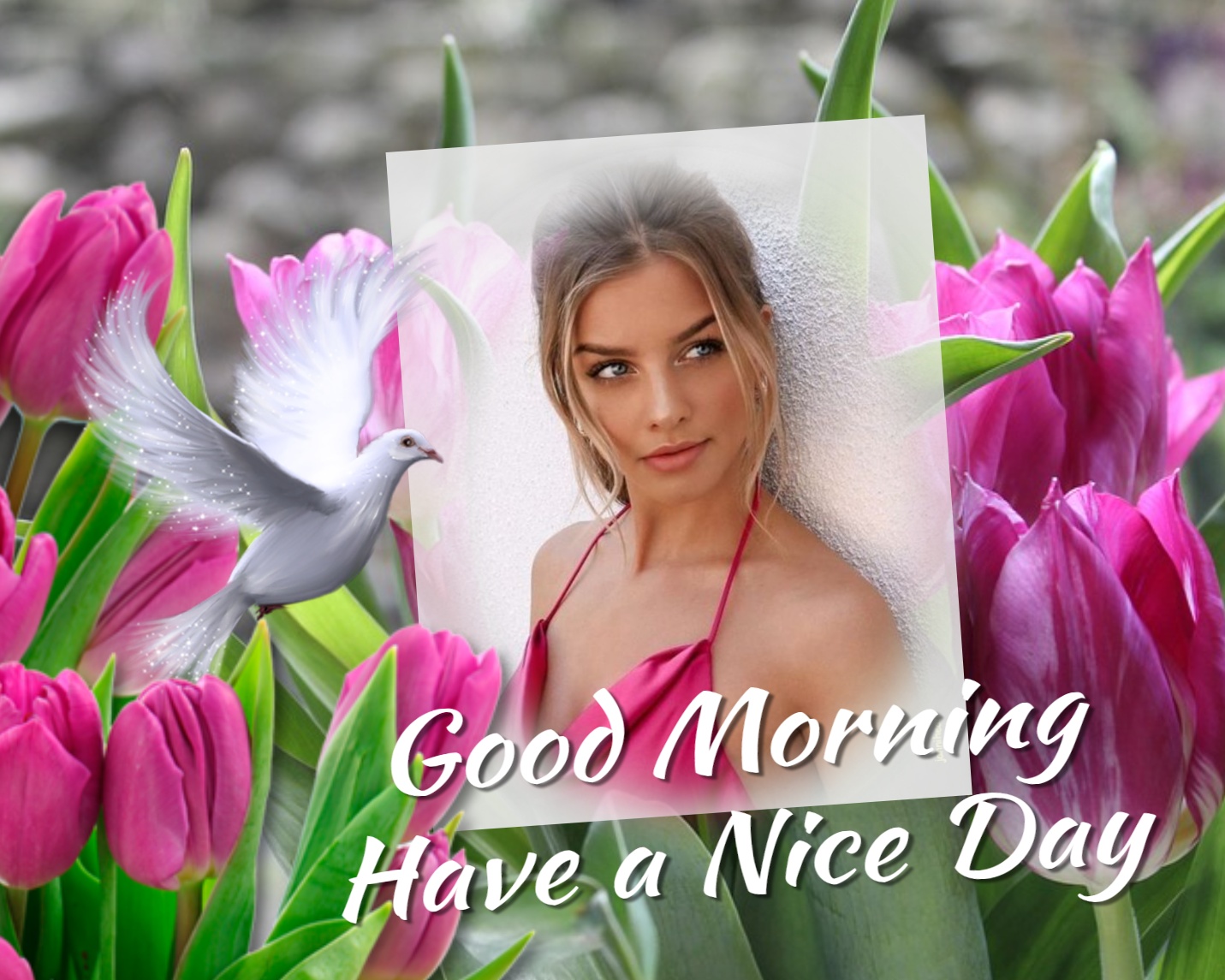 lissy's GoodMorning 🌞 GoodNight - goodmorning lissy haveagreatday - goodmorning lissy haveagreatday