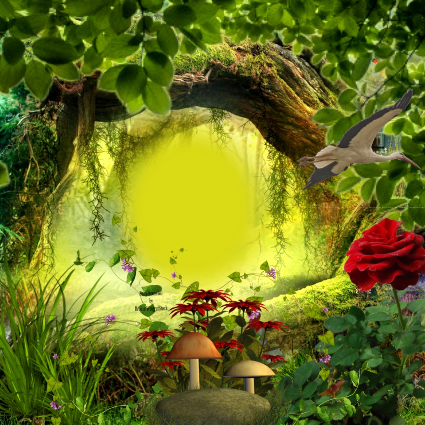 Emily50's Nature - naturesummerlove - naturesummerlove