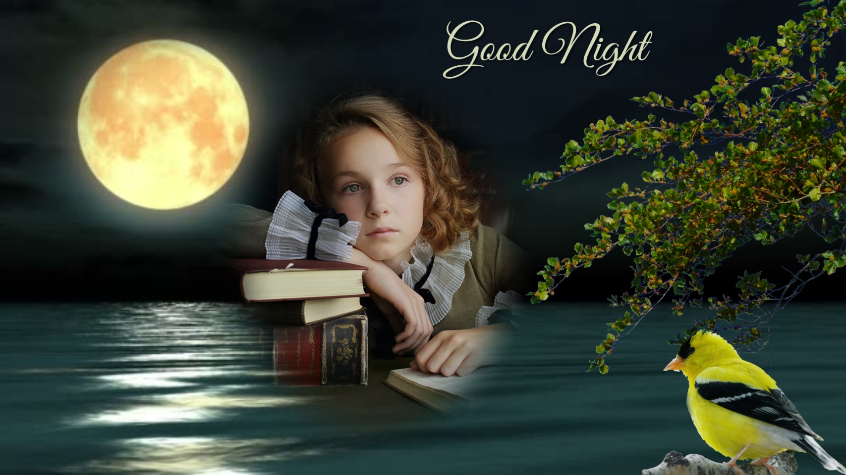 Emily50's Good Morning and Good Evening - good Night good Evening ocean ...