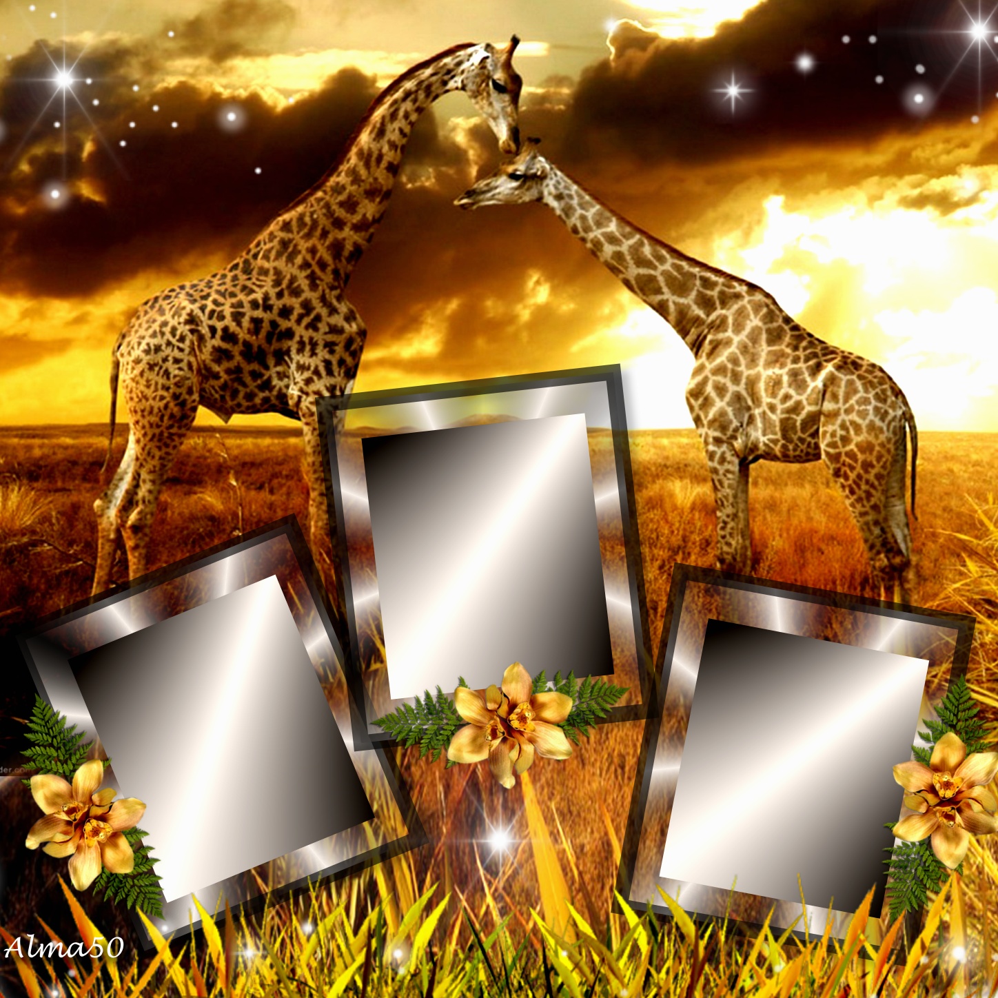 alma50's Best Friends Forever Frames - 2013 June - 2015 - Best friends ...