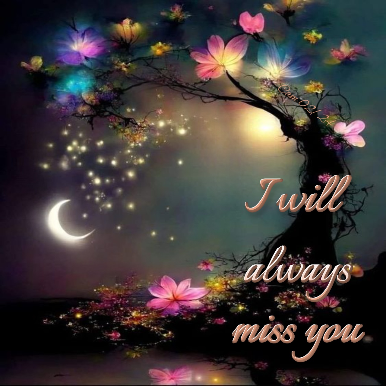 Tink165 (Cam's Mum)'s FEBRUARY 2024 - In MemoryMiss YouMemories Grief ...
