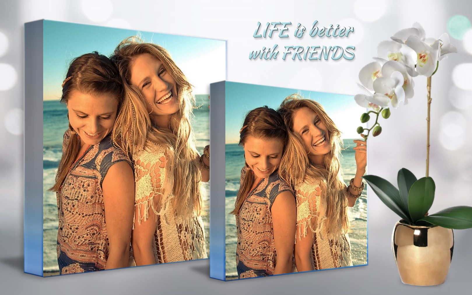 Elizabeth's FAMILY & FRIENDS 💝 - Friends Orchid Twin Frames - Friends ...