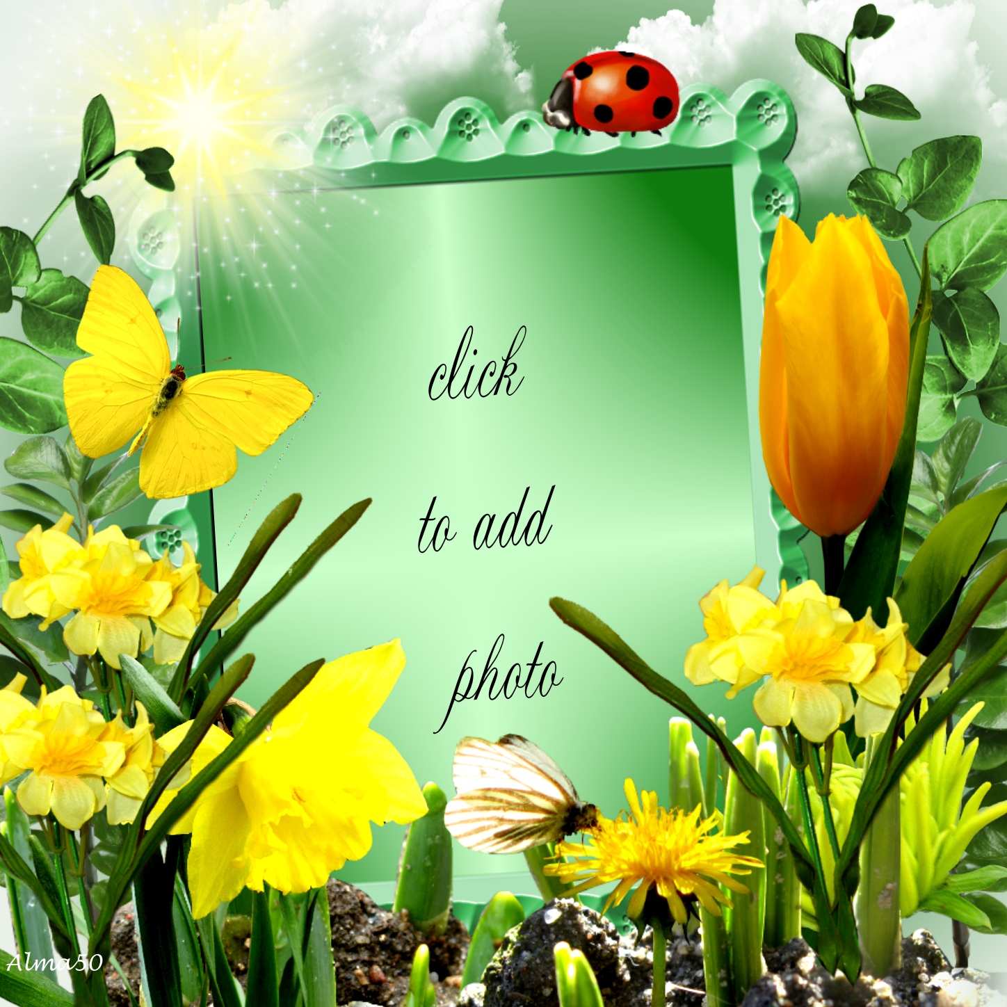 alma50's Picture Frames - 2010 June - Flowers Frame#3 Alma50 picture ...