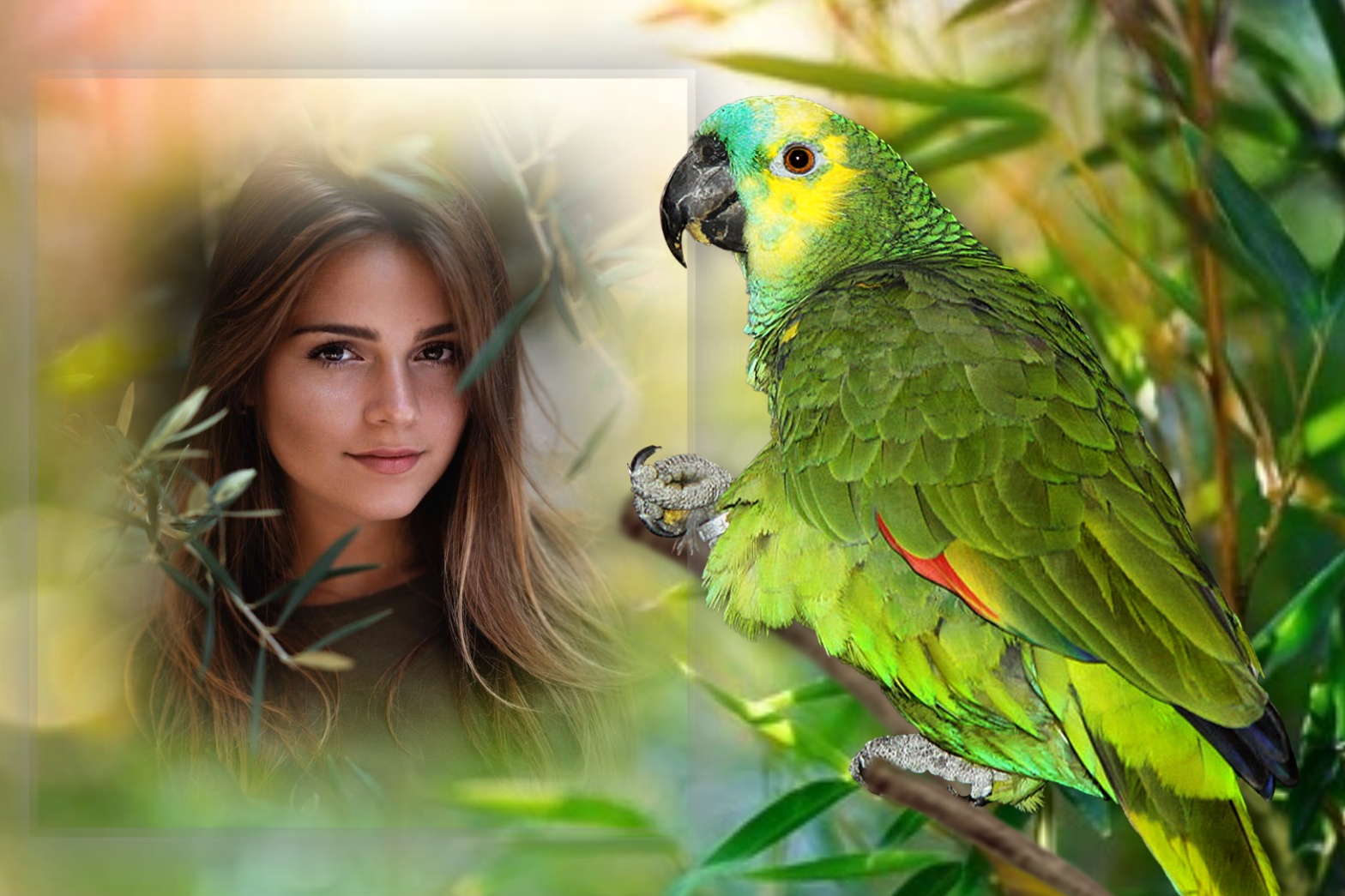 Elizabeth's ANIMALS & WILDLIFE 🙈 - Wildlife Parrot Birds Elizabeth ...