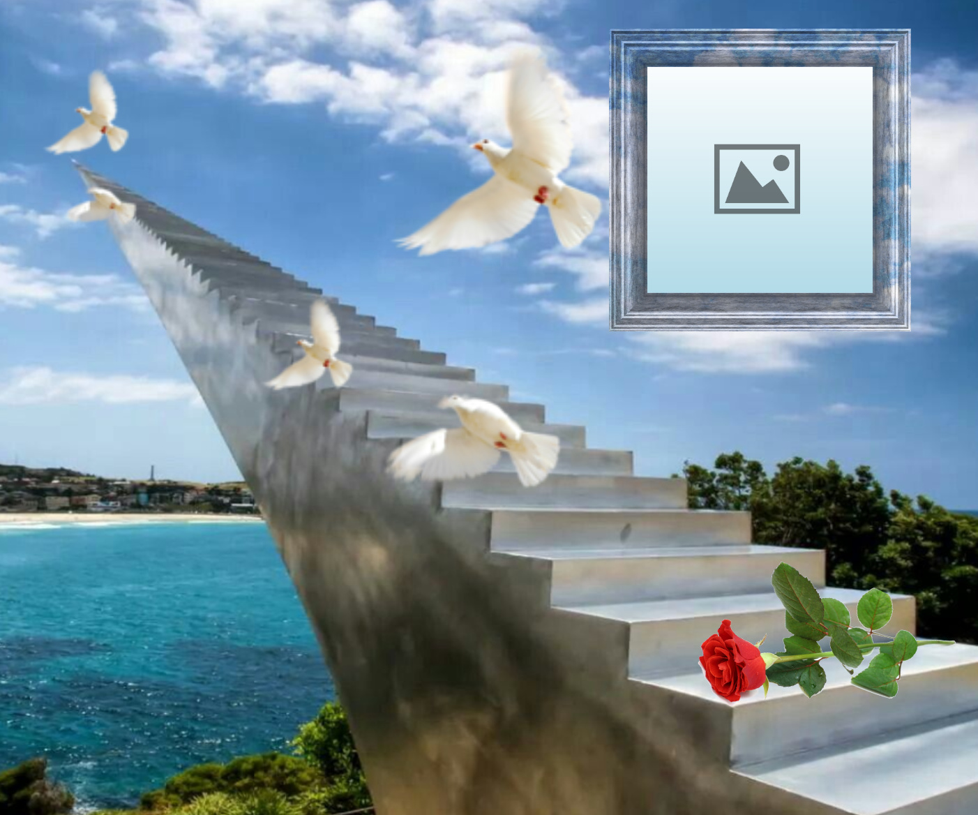 pussycatlady22's In Memory Of... Frames - 2018 February - In Loving ...