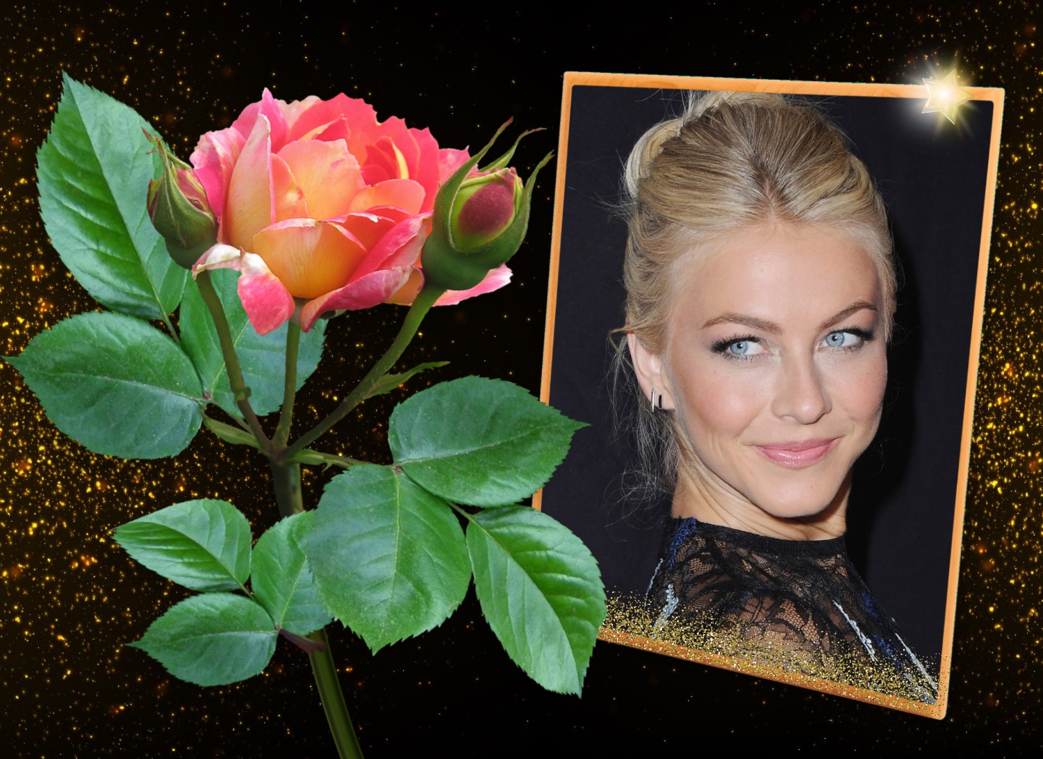 Elizabeth's GOOD MORNING/DAY/NIGHT ⭐️ 2/3 - Good Evening Peach Rose ...