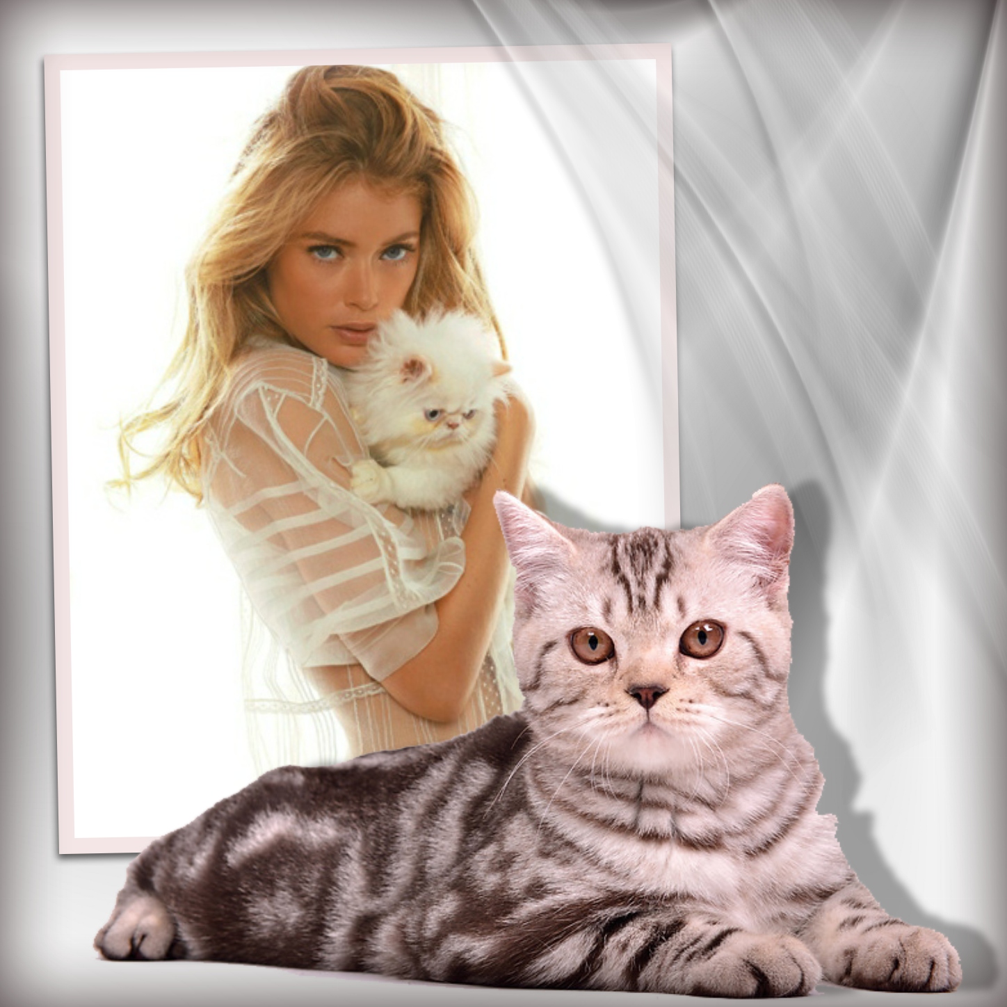 Elizabeth's CATS & DOGS 🐱 🐶 - Cats Pets Elizabeth - Cats Pets Elizabeth