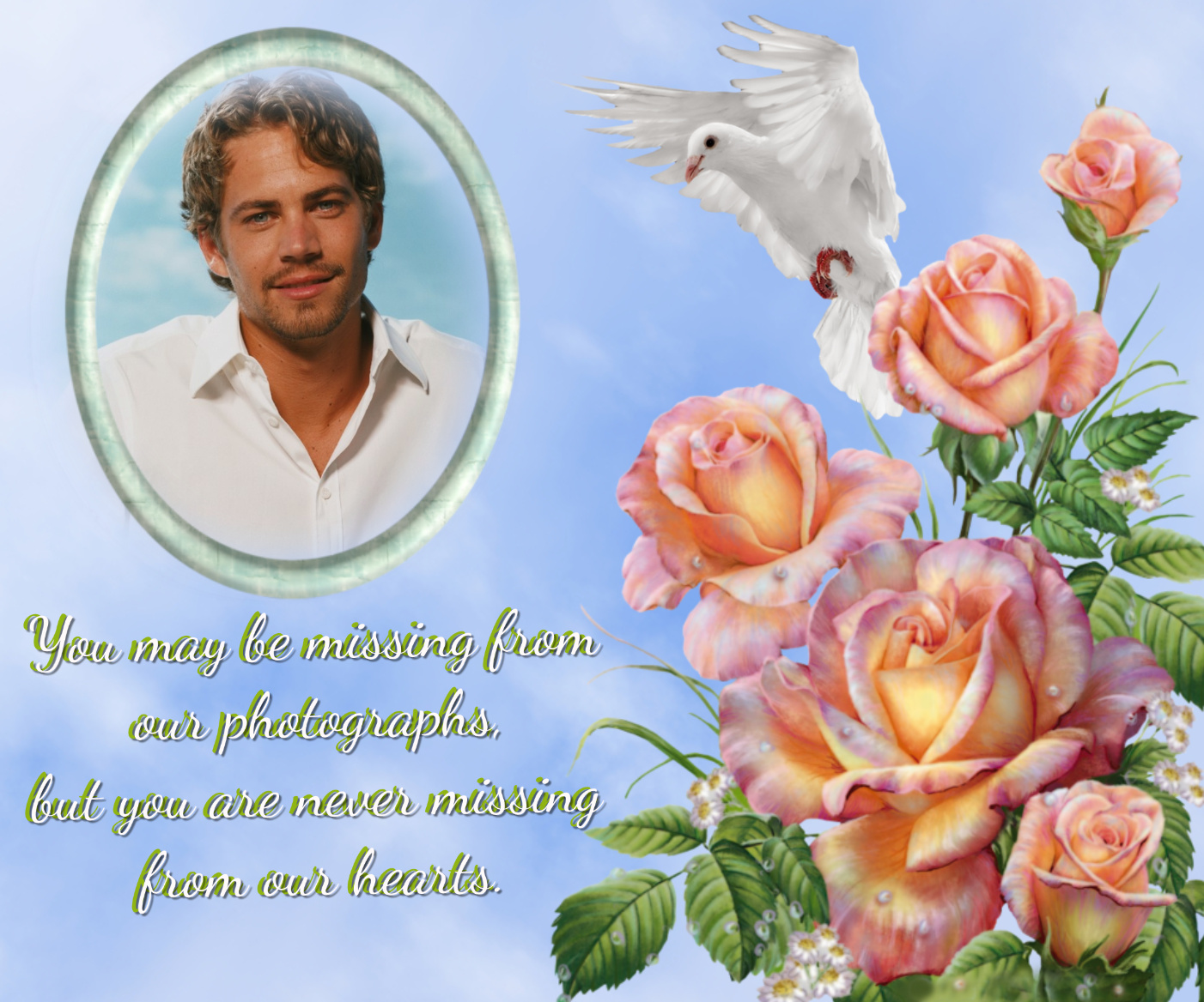 pussycatlady22's In Memory Of... Frames - 2018 February - In Loving ...