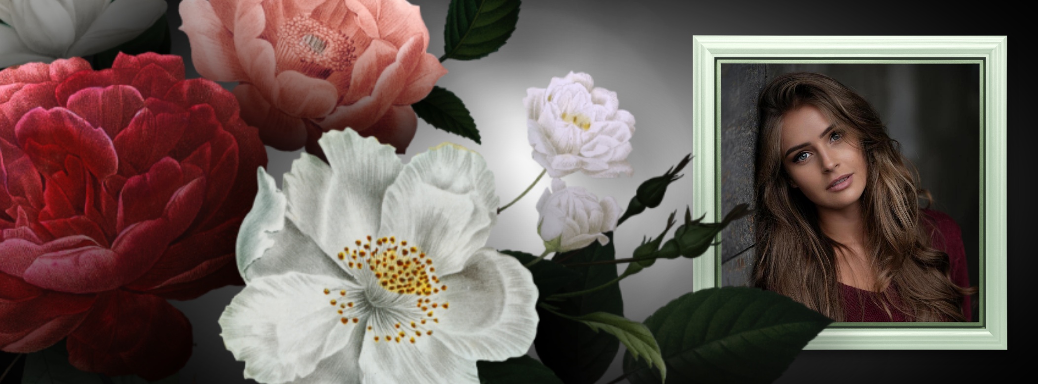 Elizabeth's FACEBOOK PROFILE COVER 🟦 - Facebook Profile Cover Social ...