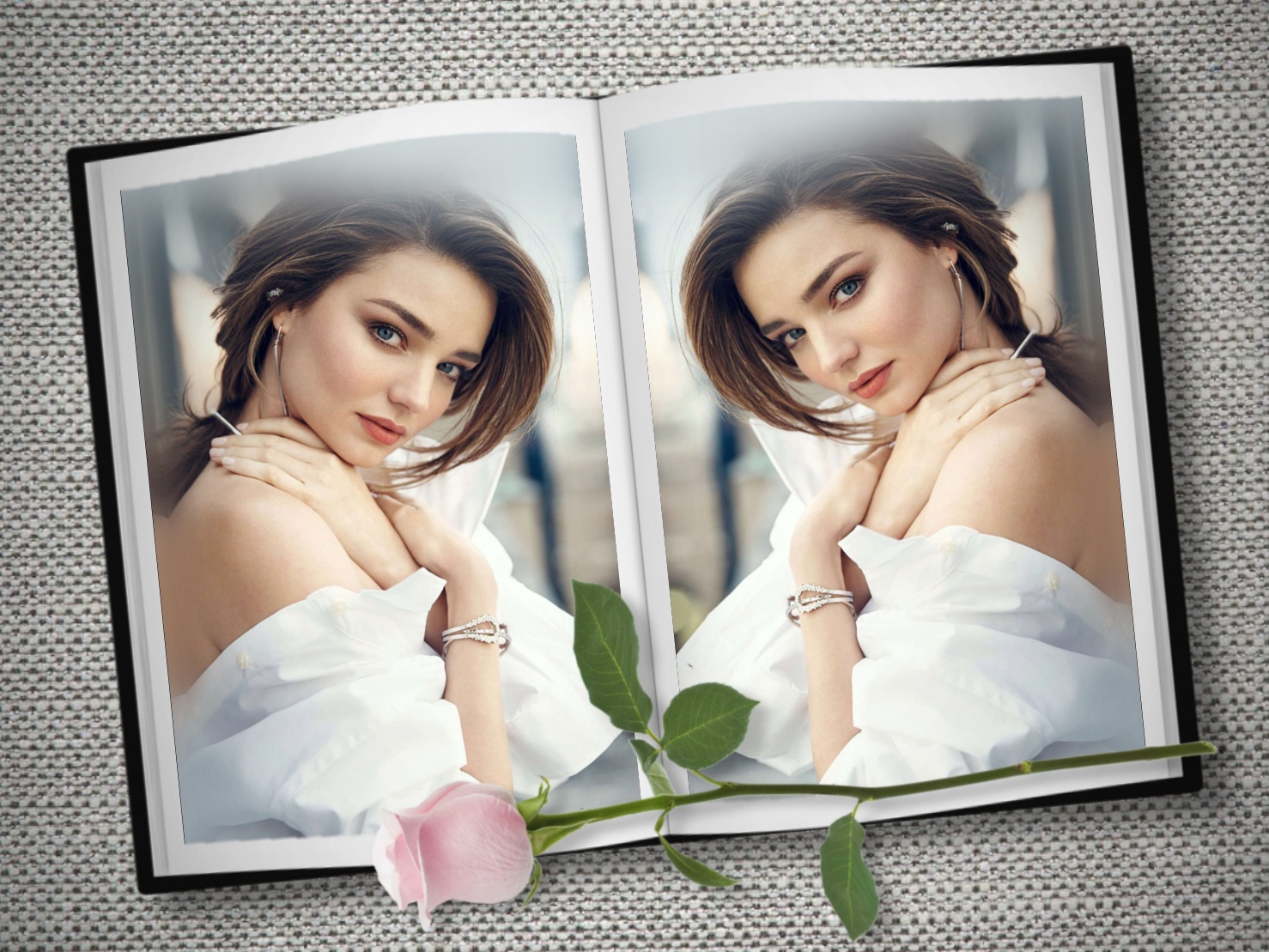 Jezebel64's Photo(s) Albums - Photo Album Friends Family Pink Rose ...