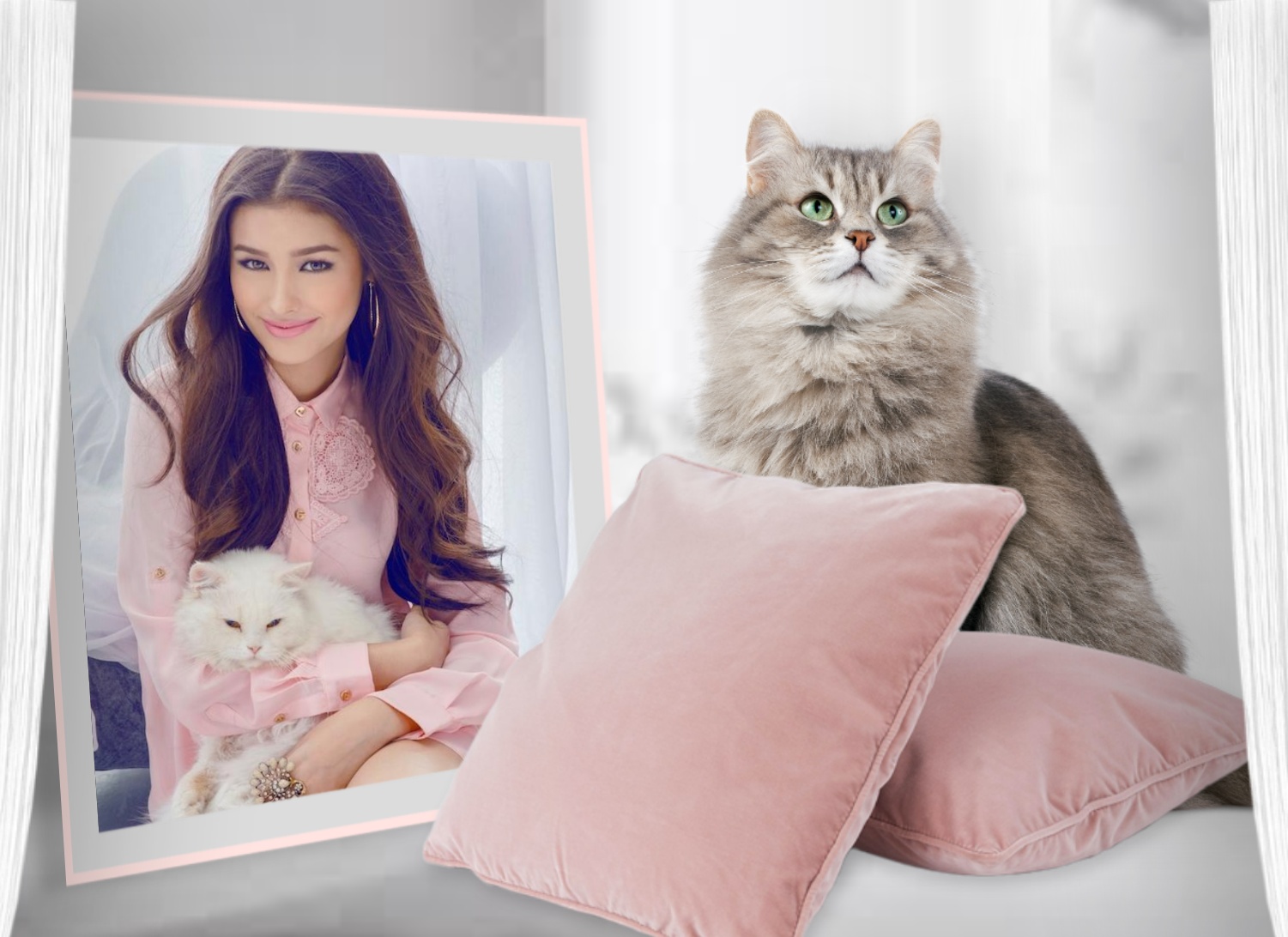 Elizabeth's CATS & DOGS 🐱 🐶 - Cats Pets Cushion Elizabeth - Cats Pets ...