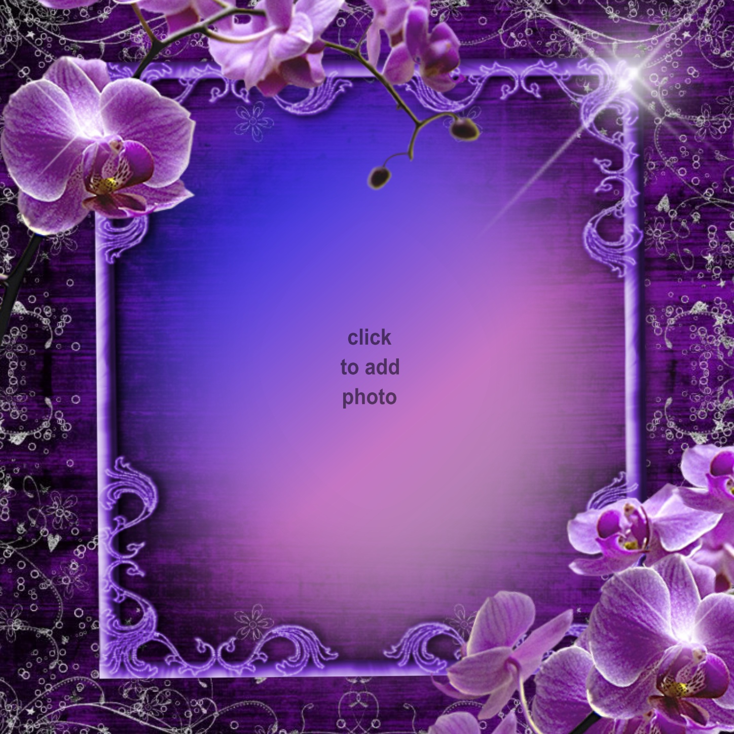 MoragBates's Picture Frames - 2011 January - Pure Purple Purple ...