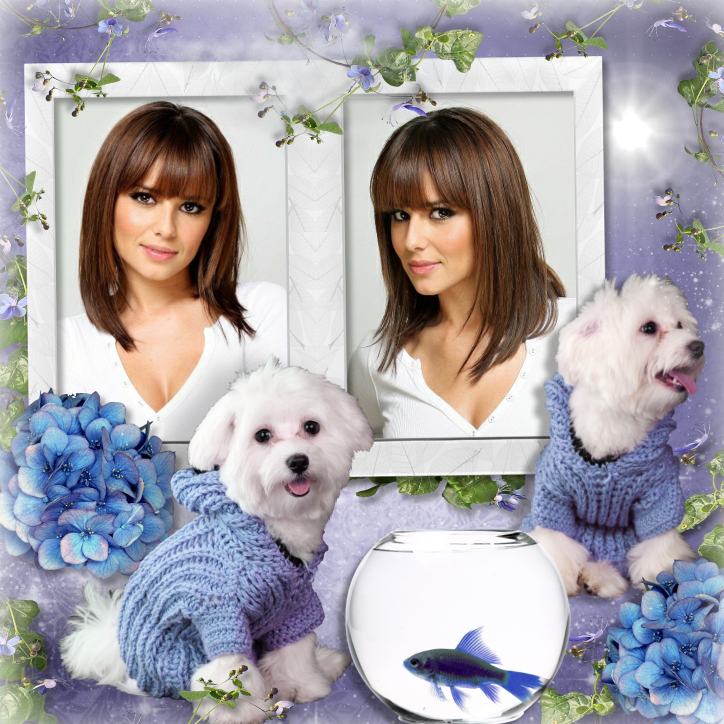 Elizabeth's CATS & DOGS 🐱 🐶 - Dogs Pets Elizabeth - Dogs Pets Elizabeth