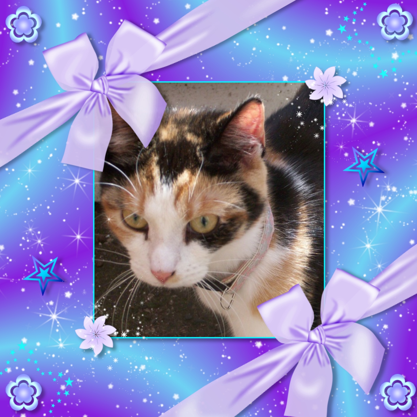 Queenie's Picture Frames - 2013 May - 2013 July - Purple and Blue Frame ...