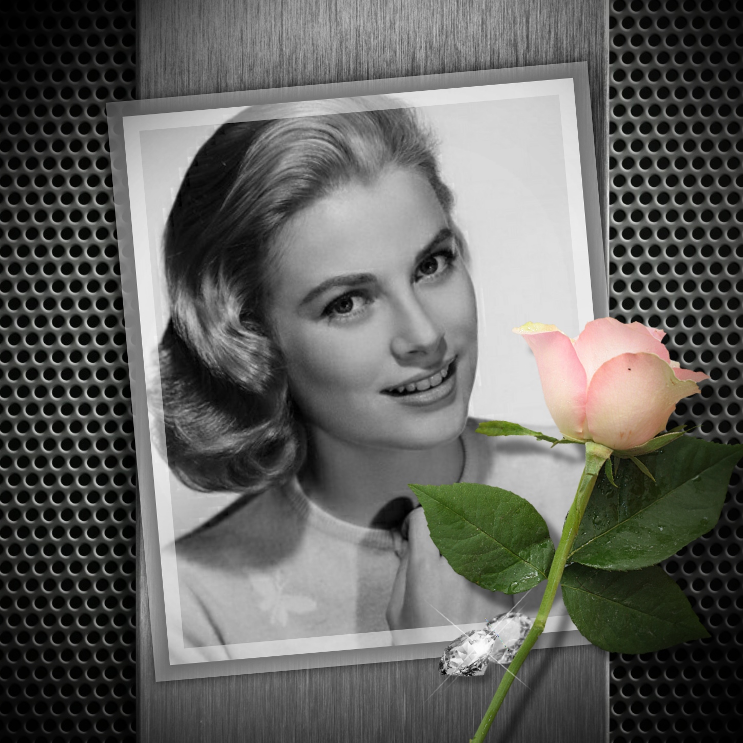 Jezebel64's Black&White with a touch of color - Pink Rose Jezebel64 ...