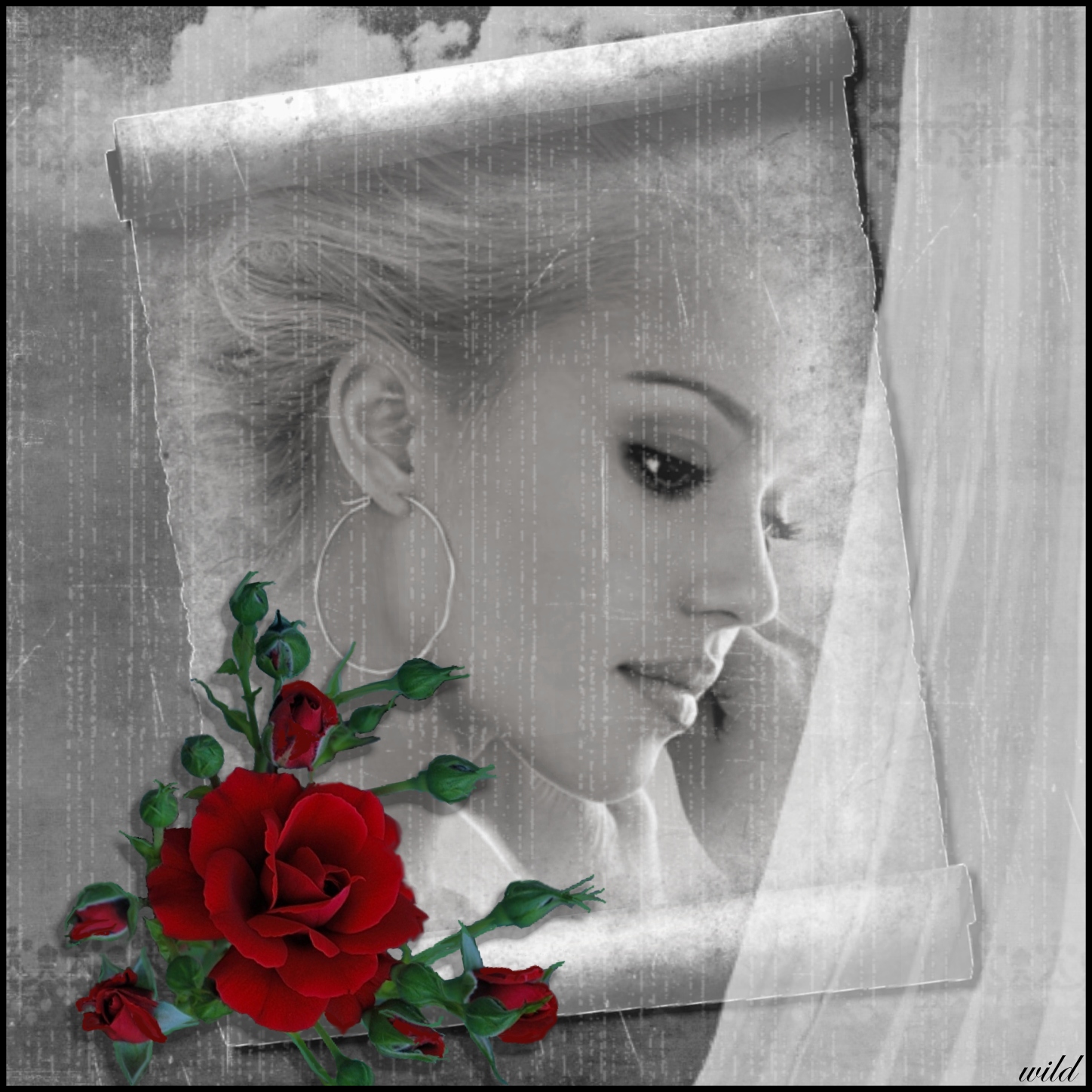 wildthing_9111's Vintage Frames - 2012 January - Scroll Portrait ...