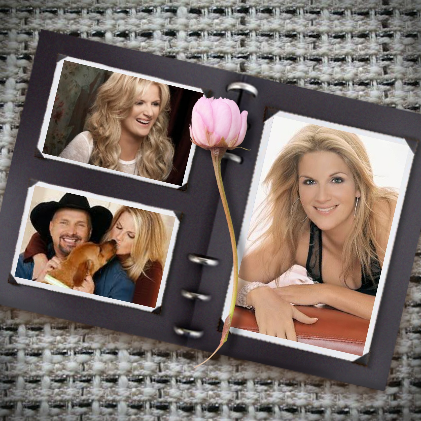 Jezebel64's Photo(s) Albums - Family Photo Album Jezebel64 Photo Albums ...