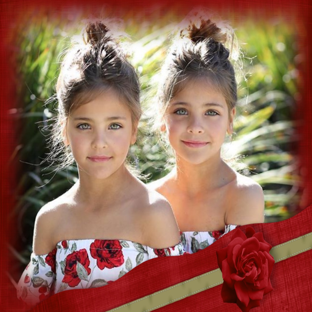 Mmhartley2's Everything Stream - Love Rose Romance Anniversary - Love ...