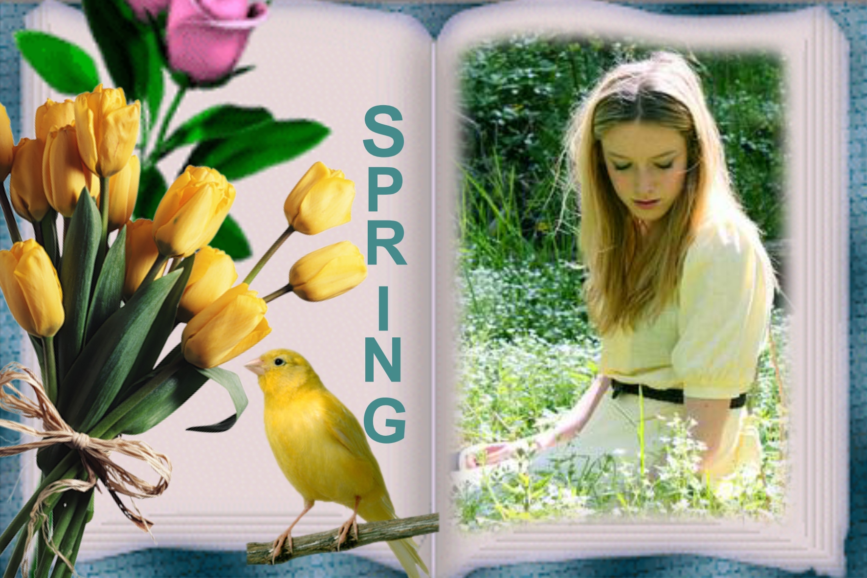 Emily50's Spring Frames - Spring Ghy01 - Spring Ghy01