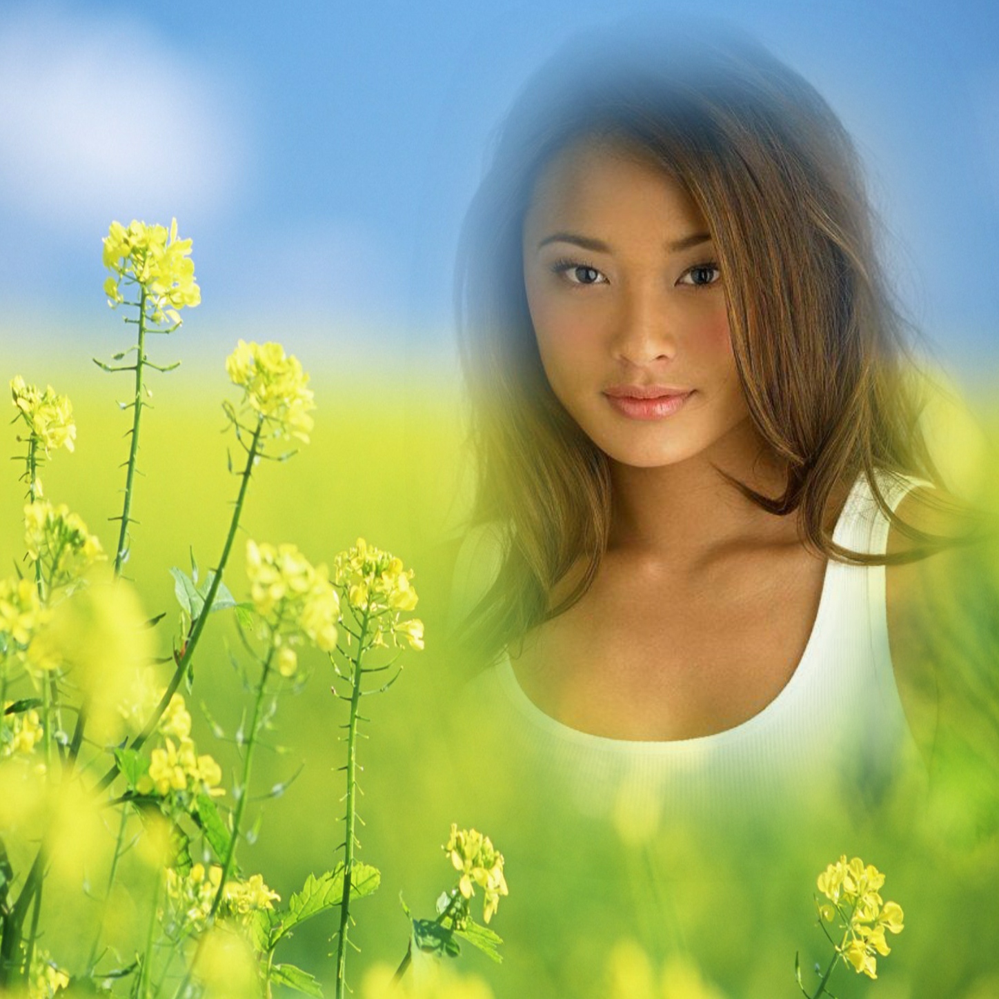 Elizabeth's SUMMER 😎 - Summer Nature Wildflowers Elizabeth - Summer ...