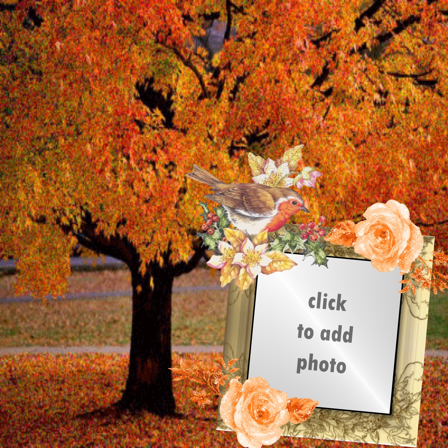 monatoo's Sunsets, Scenery and Nature Frames - 2011 September - 2011 ...