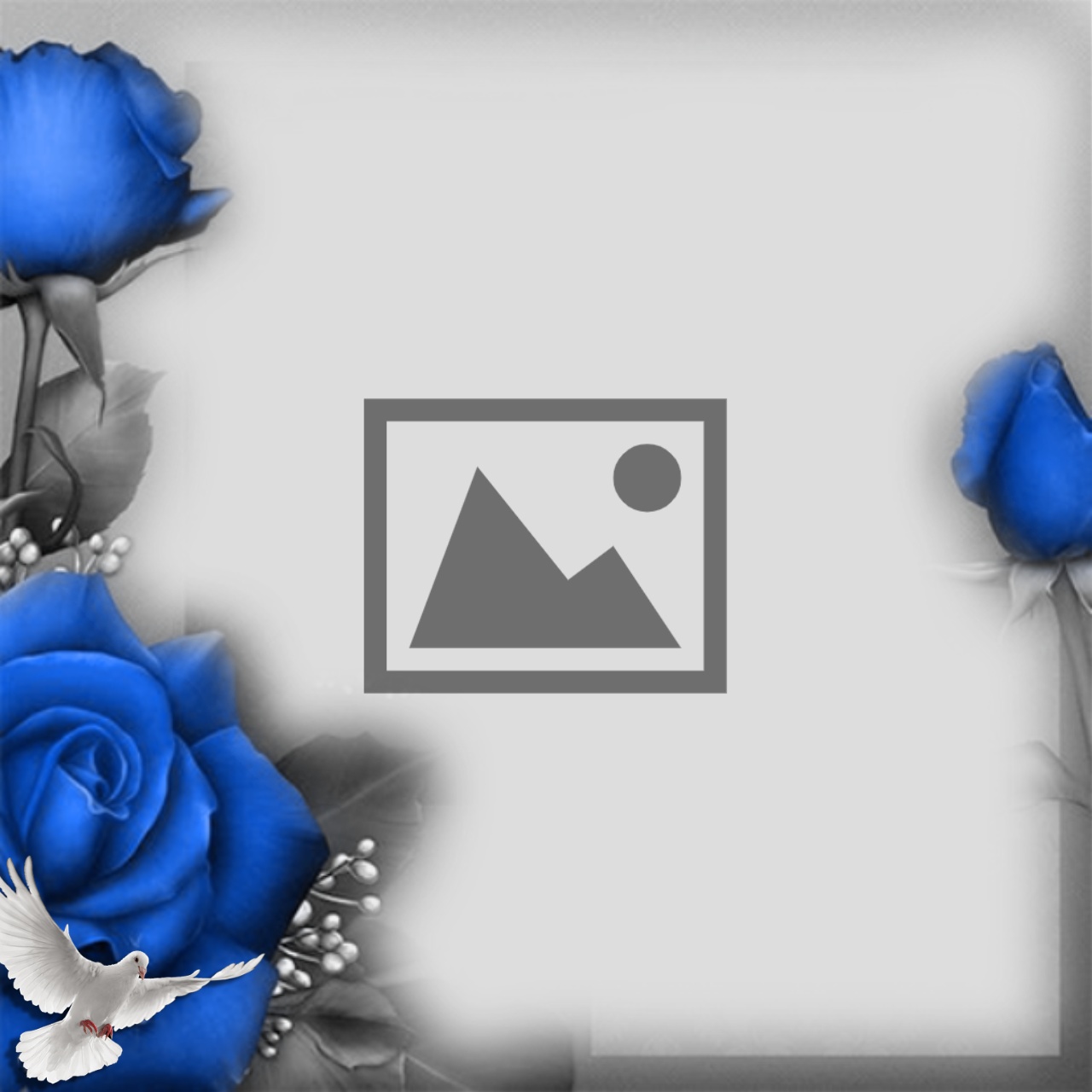 Jennifer Wilson's Roses - Blue Roses - Blue Roses
