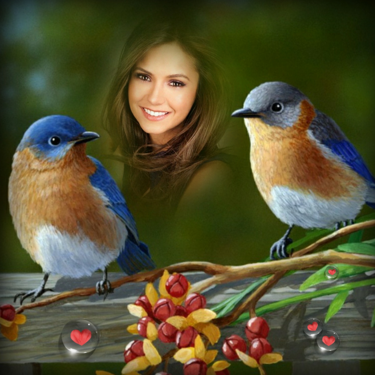 Elizabeth's ANIMALS & WILDLIFE 🙈 - Birds Wildlife Elizabeth - Birds ...