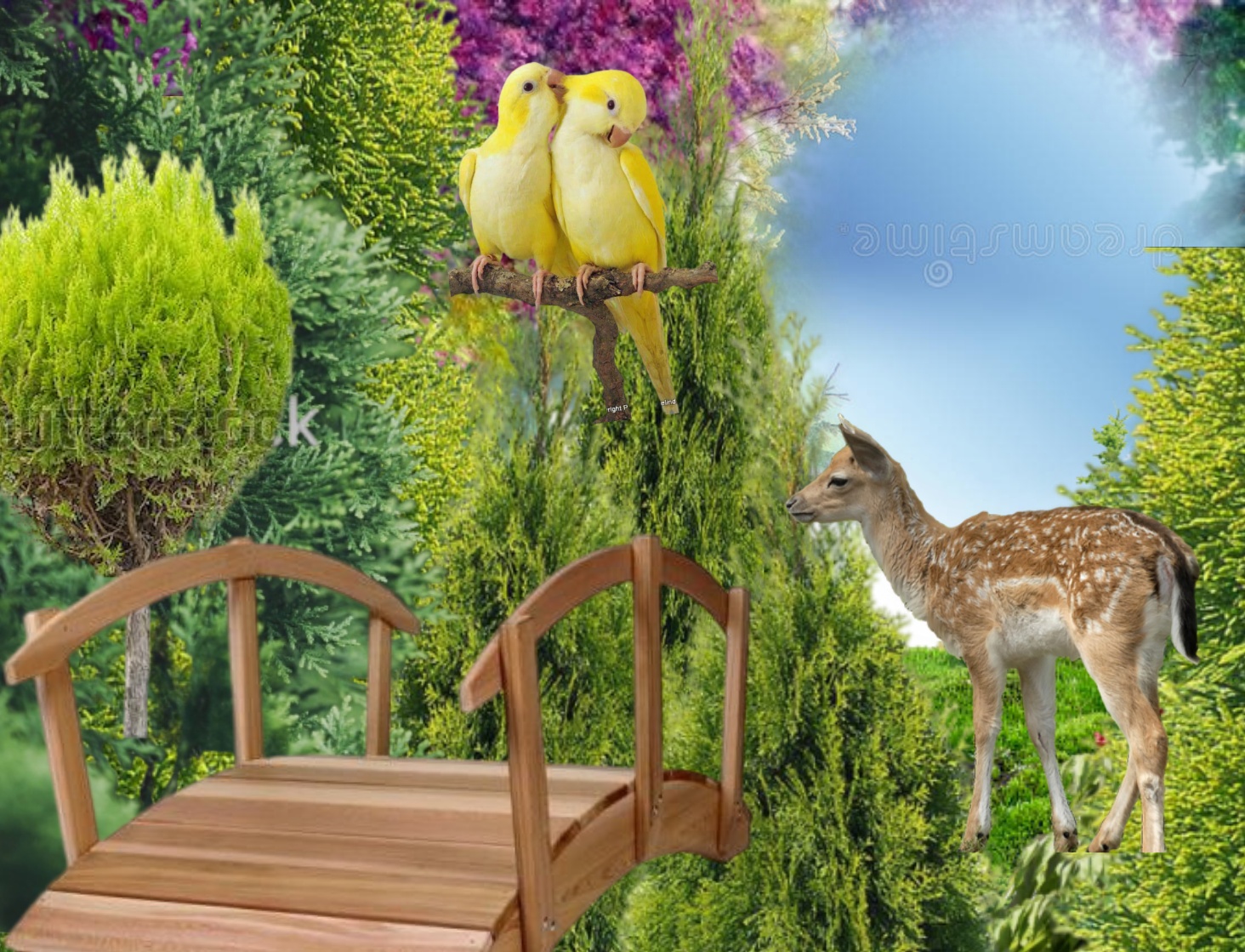 Emily50's Sunsets, Scenery and Nature - NatureEmily50 ...