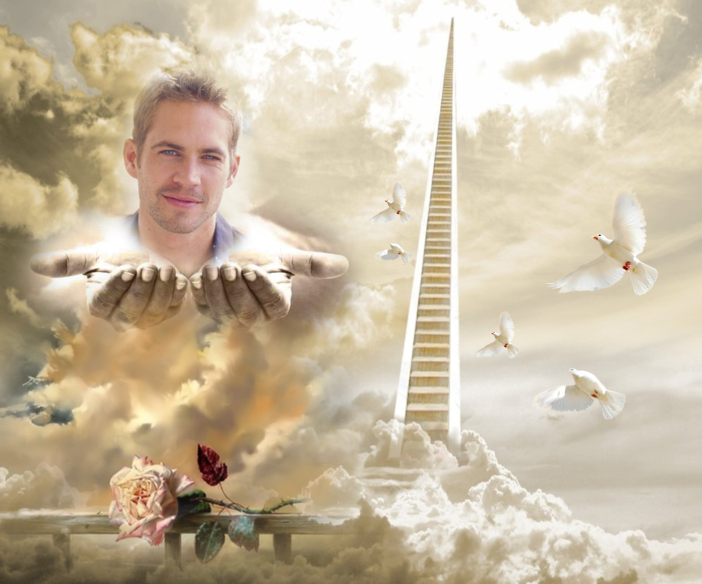 pussycatlady22's In Memory Of... Frames - 2018 February - In Loving ...