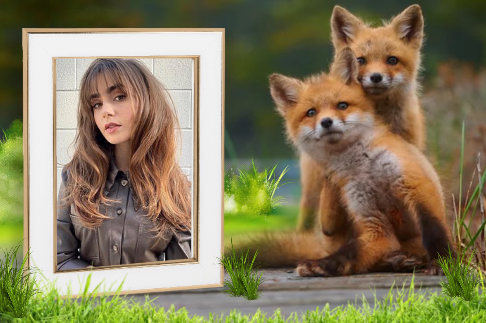 Nette's Wildlife,Animals, Pets, WoodlandAnimals - Wildlife ...