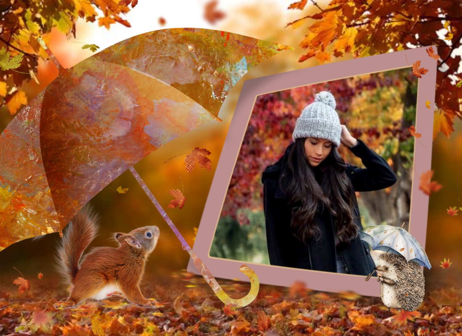 Elizabeth's AUTUMN/FALL 🍁 1/3 - Autumn Fall Falling Leaves - Autumn ...