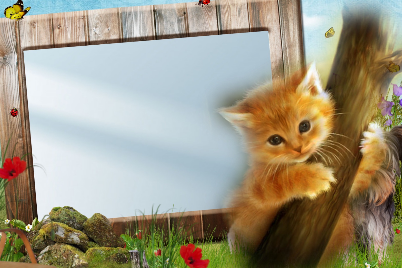 Emily50's Nature - Nature Love Emily50Good MorningKidsHave Agreat ...