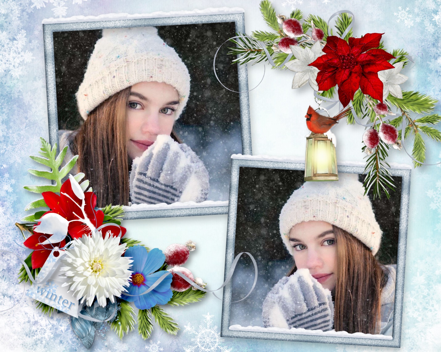 Elizabeth's WINTER ️ 2/2 - Winter Winter Flowers Elizabeth - Winter ...