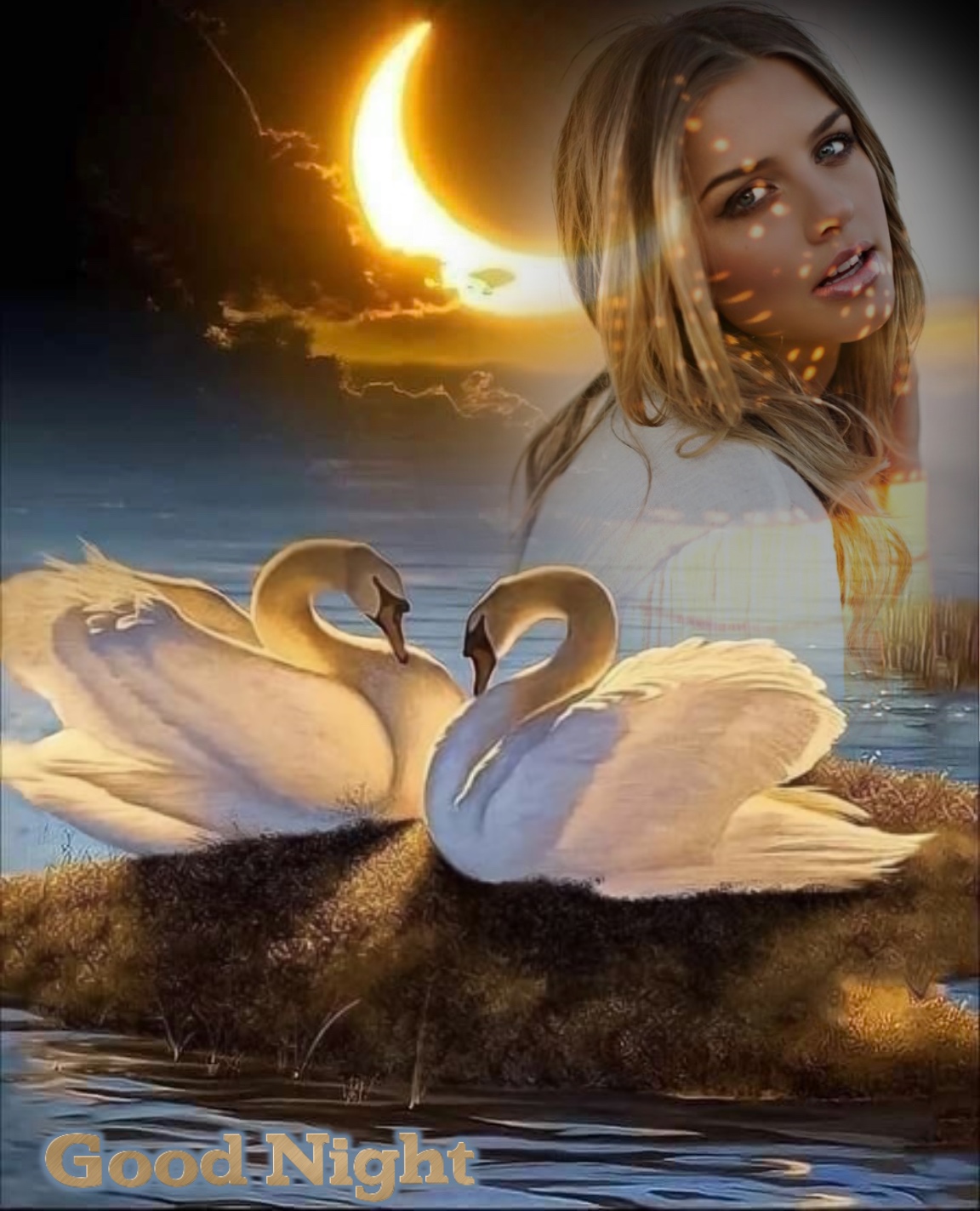 Nette's GoodNight🌛 - Good Morning Good DayGood Night - Good Morning ...