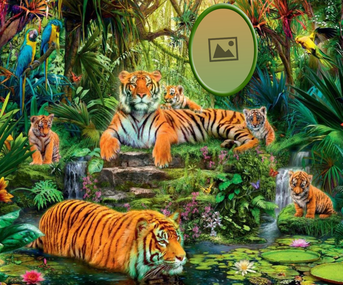 pussycatlady22's Wildlife Frames - Wildlife Frames Wildlife Tigers ...