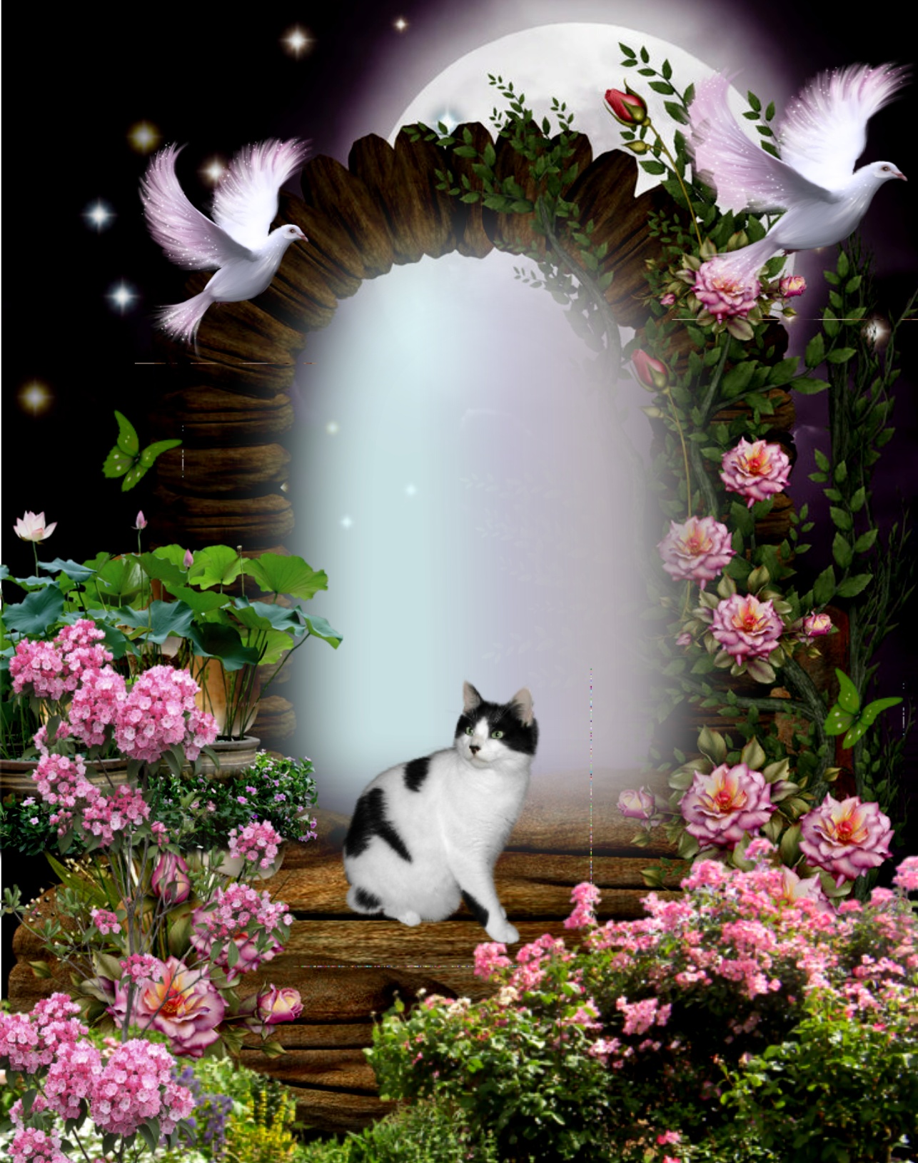 Emily50's Get Well Soon Frames - God Bless You Ghy01 get Well Soon ...