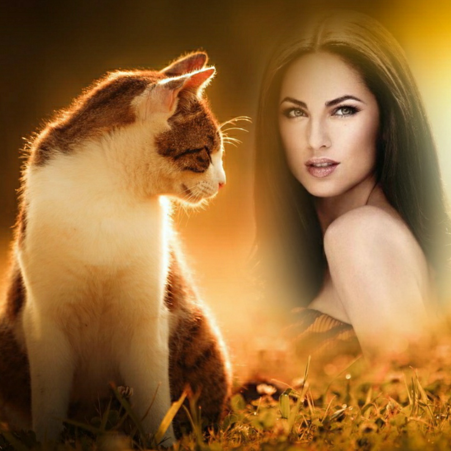 Elizabeth's CATS & DOGS 🐱 🐶 - Cats Pets Elizabeth - Cats Pets Elizabeth