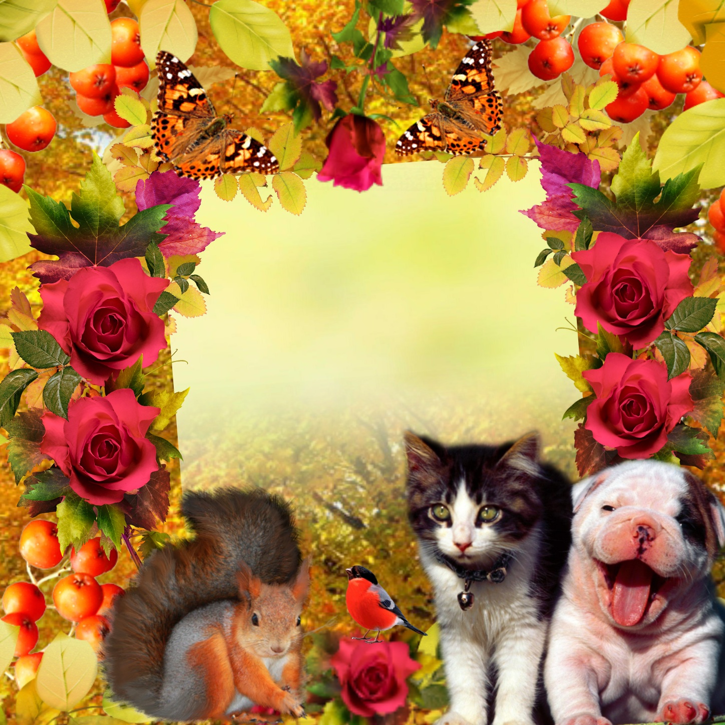 Sinnlich's Fall Frames - 2016 - Animals Sinnlich Fall Red Roses Cats ...