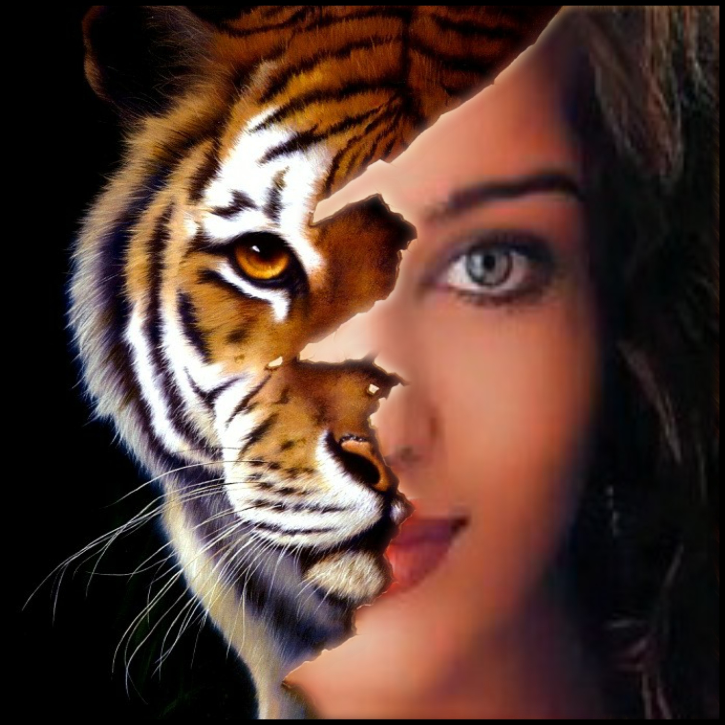 Goca1510's Wildlife Frames - 2008 July - 2008 November - G1510- Tiger ...