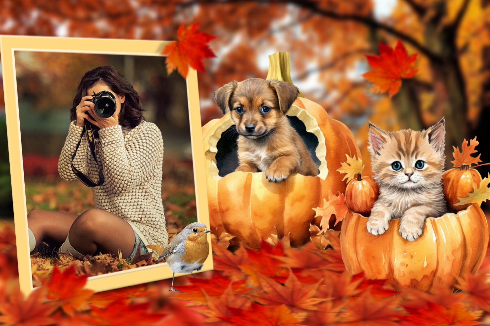 Elizabeth's CATS & DOGS 🐱 🐶 - Autumn Fall Falling Leaves - Autumn Fall ...